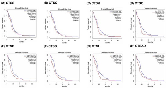 Cathepsins Trigger Cell Death and Regulate Radioresistance in Glioblastoma