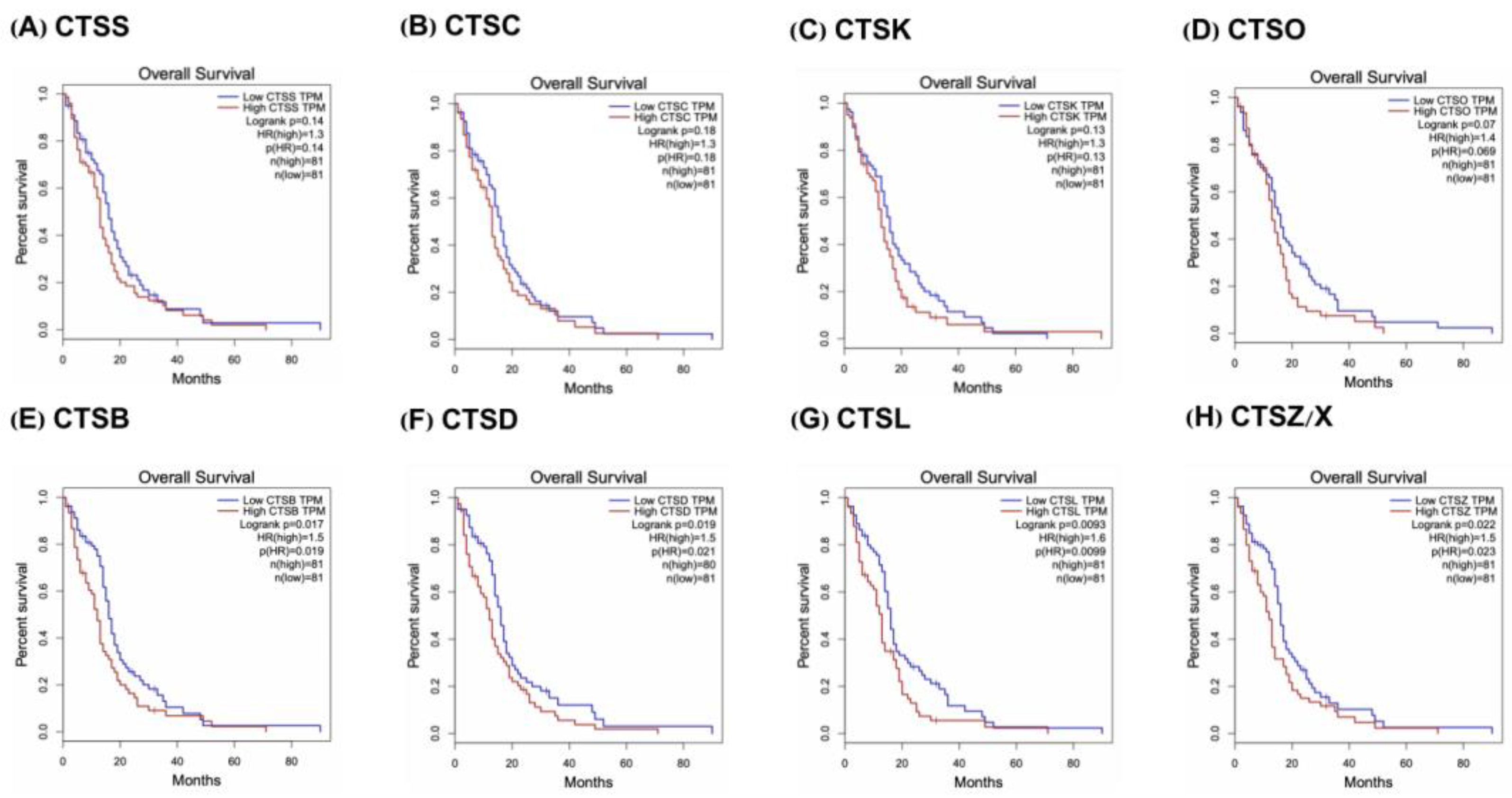 Cells | Free Full-Text | Cathepsins Trigger Cell Death and Regulate ...