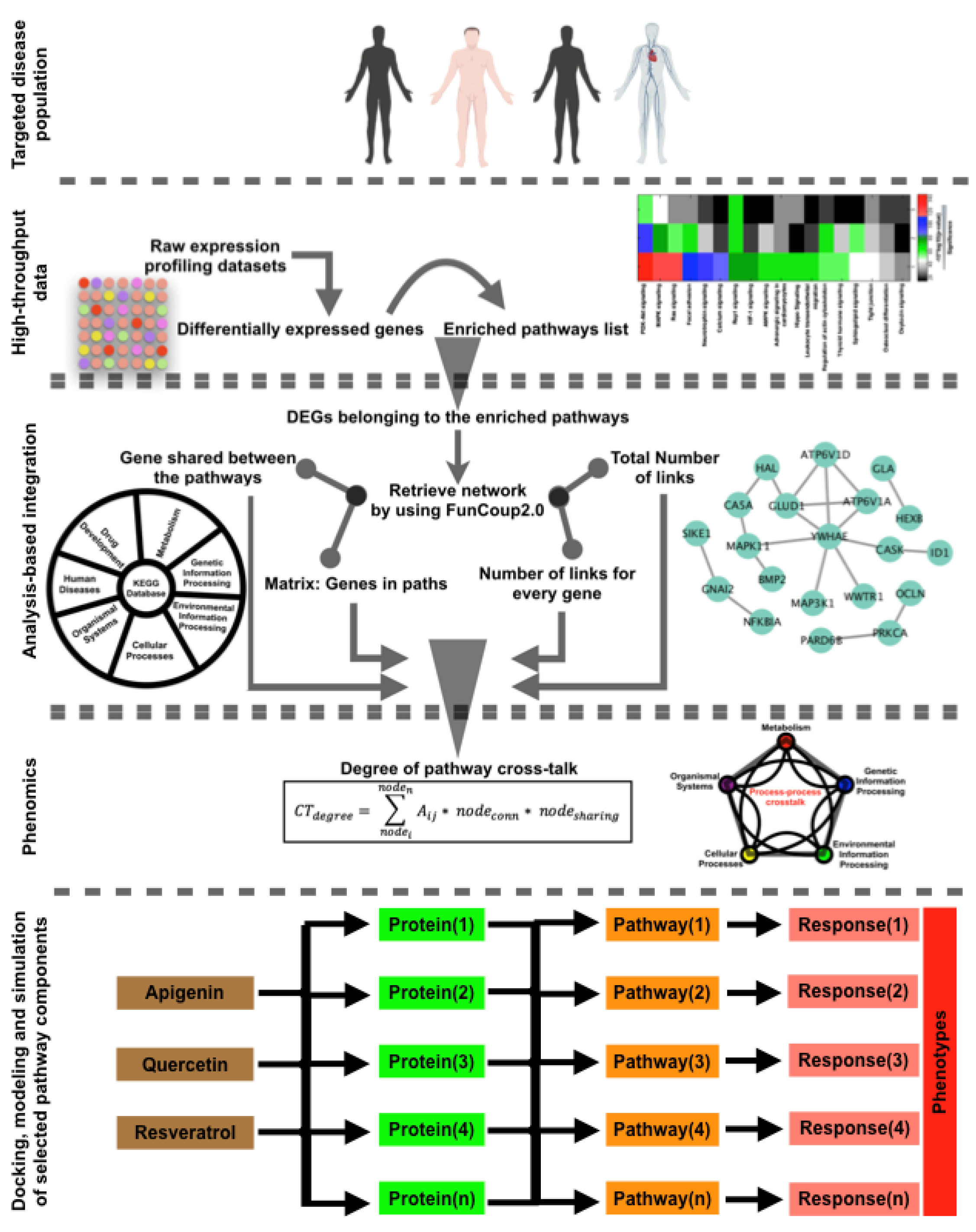 An Approach for Systems-Level Understanding of Prostate Cancer from High-Throughput Data ...