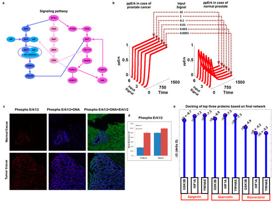 An Approach for Systems-Level Understanding of Prostate Cancer from High-Throughput Data ...