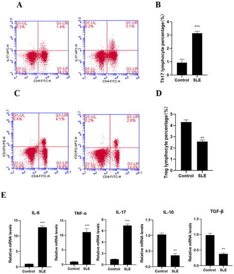 UC-BSCs Exosomes Regulate Th17/Treg Balance in Patients with Systemic ...