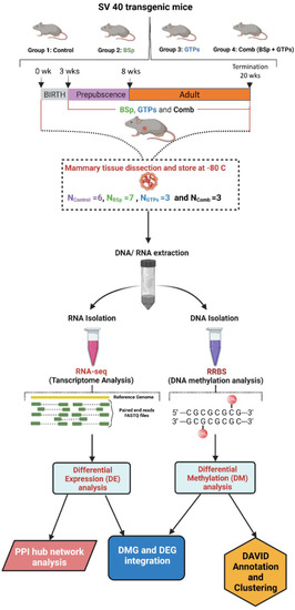 Genome-Wide Analysis on Transcriptome and Methylome in Prevention of ...
