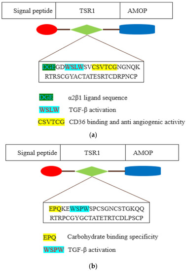 Isthmin—A Multifaceted Protein Family