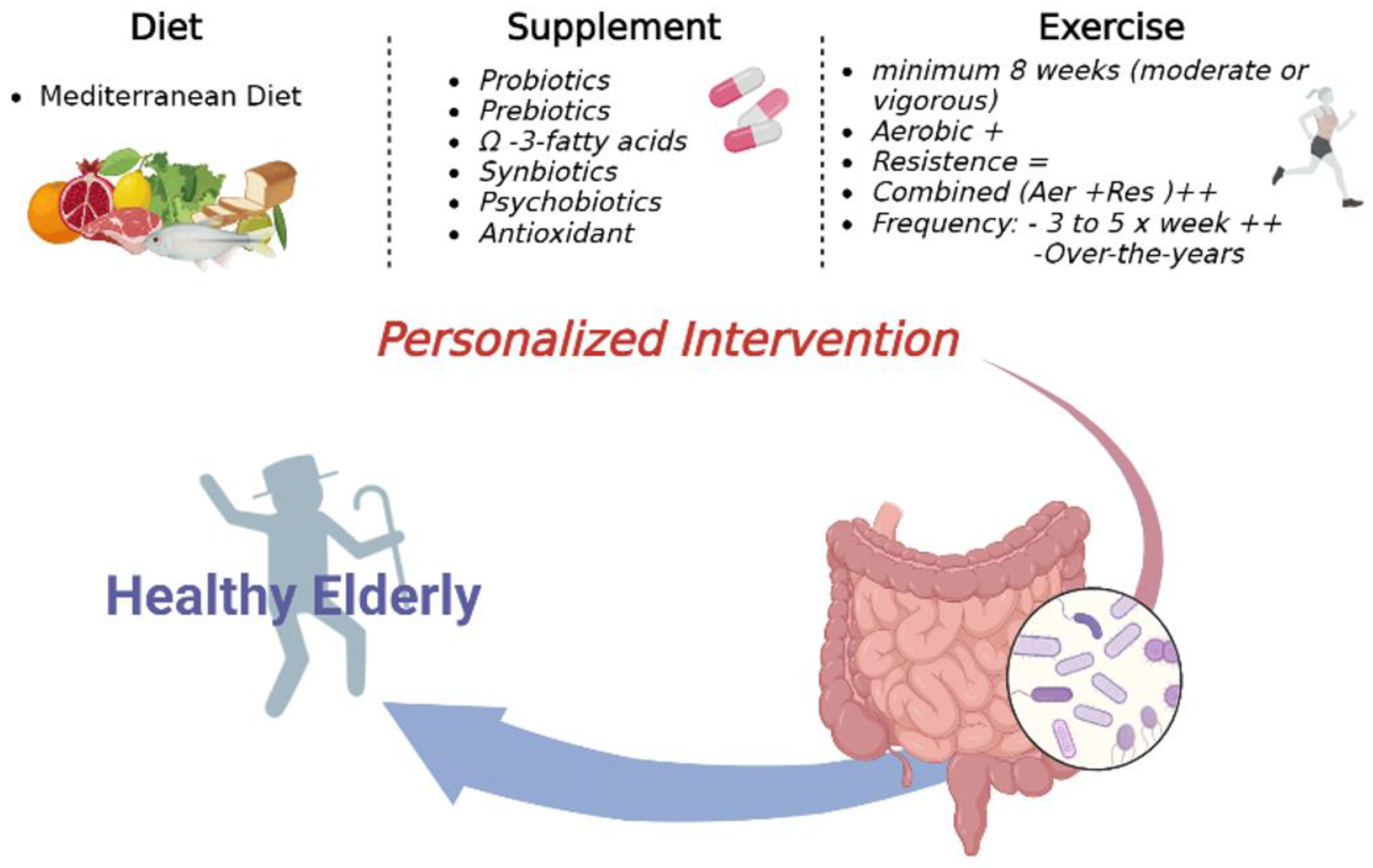 Interventions on Gut Microbiota for Healthy Aging