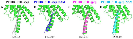 Understanding the Allosteric Modulation of PTH1R by a Negative ...