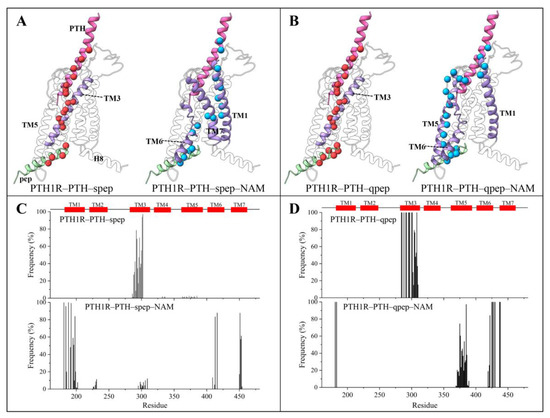 Understanding the Allosteric Modulation of PTH1R by a Negative ...