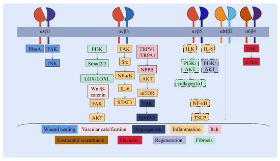 The Multiple Roles of Periostin in Non-Neoplastic Disease