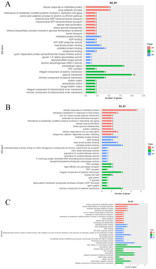 Mechanism Underlying Light Intensity-Induced Melanin Synthesis of ...