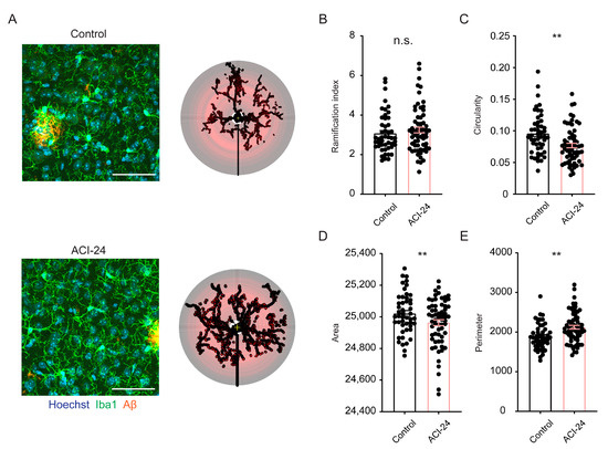 Beneficial Effect of ACI-24 Vaccination on Aβ Plaque Pathology and ...