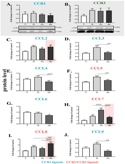 Pharmacological Evidence of the Important Roles of CCR1 and CCR3 and ...
