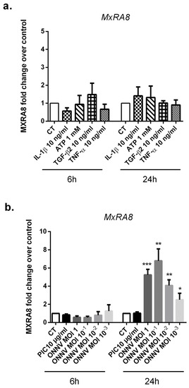 Deciphering the Role of Schwann Cells in Inflammatory Peripheral ...