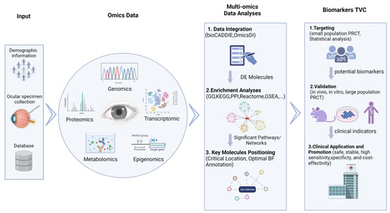Cells | Free Full-Text | Essential Role of Multi-Omics Approaches in ...