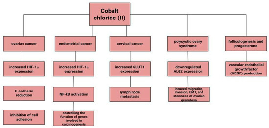 The Role of Iron and Cobalt in Gynecological Diseases
