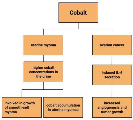 The Role of Iron and Cobalt in Gynecological Diseases