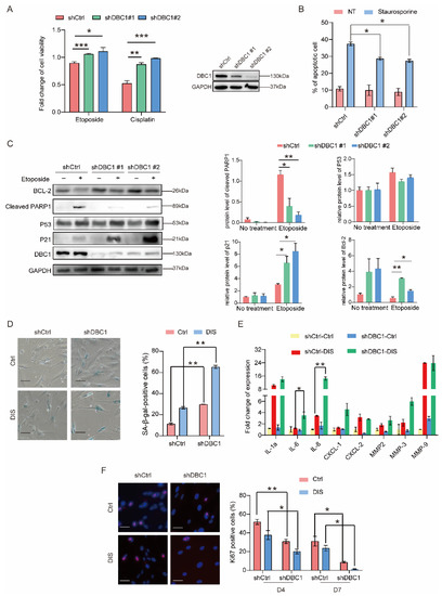 ML216 Prevents DNA Damage-Induced Senescence by Modulating DBC1–BLM Interaction