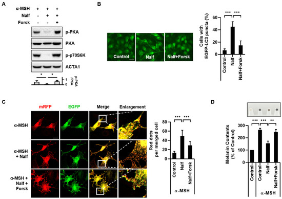 Nalfurafine Hydrochloride, a κ-Opioid Receptor Agonist, Induces ...