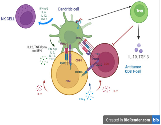 TLR9 and Glioma: Friends or Foes?