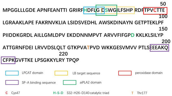 Anti-Oxidant and Pro-Oxidant Effects of Peroxiredoxin 6: A Potential ...