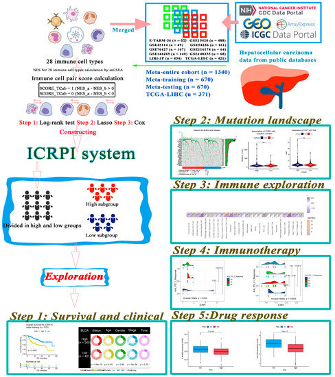 Cells | Free Full-Text | Cell Pair Algorithm-Based Immune Infiltrating ...