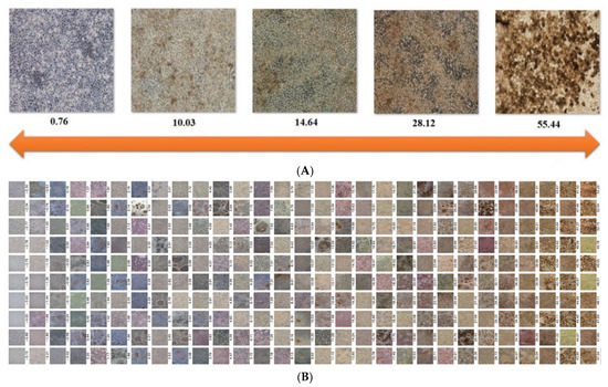 Recognizing the Differentiation Degree of Human Induced Pluripotent ...