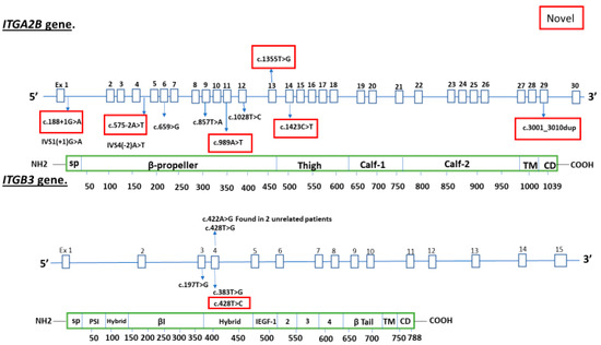 Glanzmann Thrombasthenia in Pakistani Patients: Identification of 7 ...