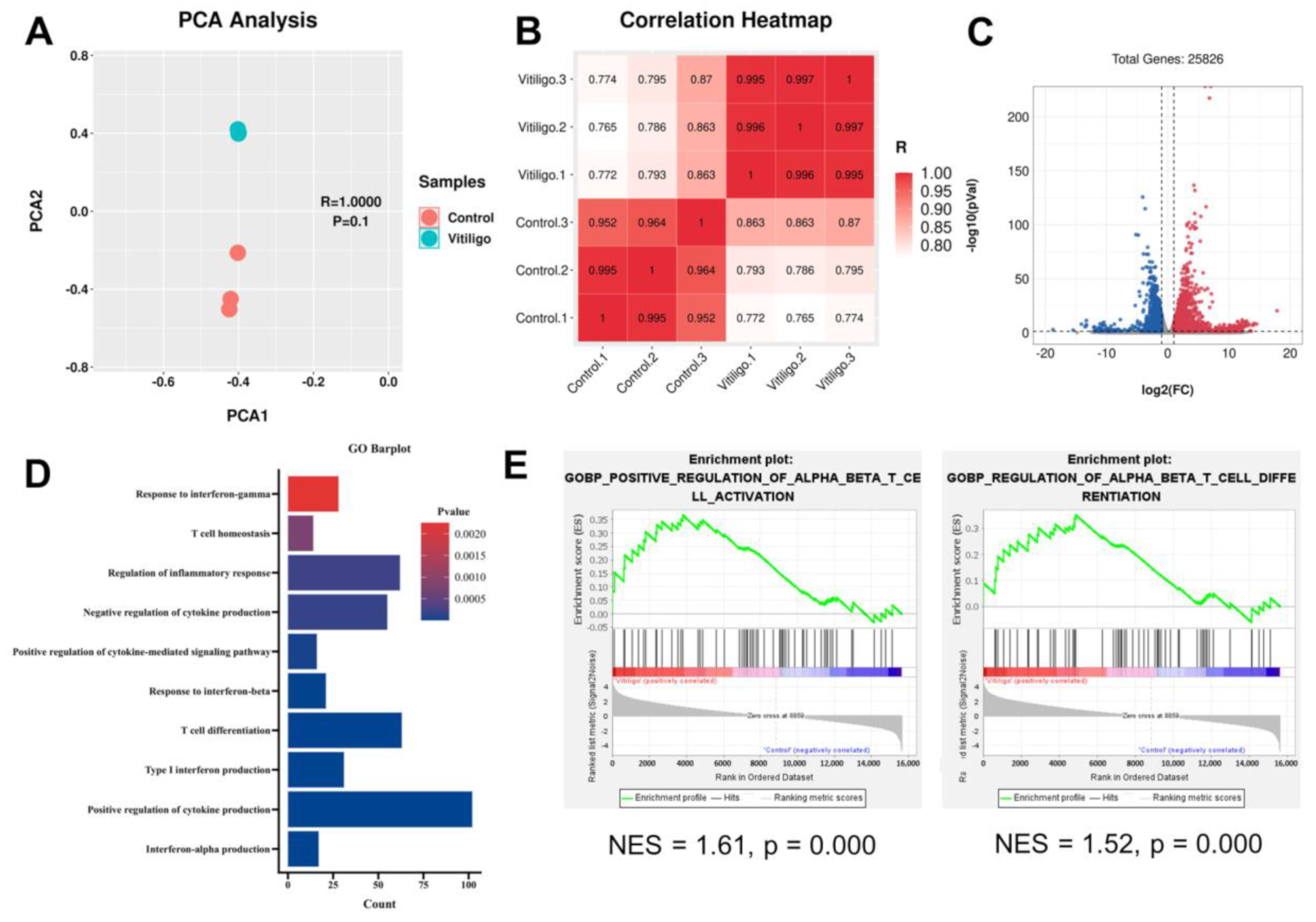 Pathogenic Th2 Cytokine Profile Skewing by IFN-γ-Responding Vitiligo ...