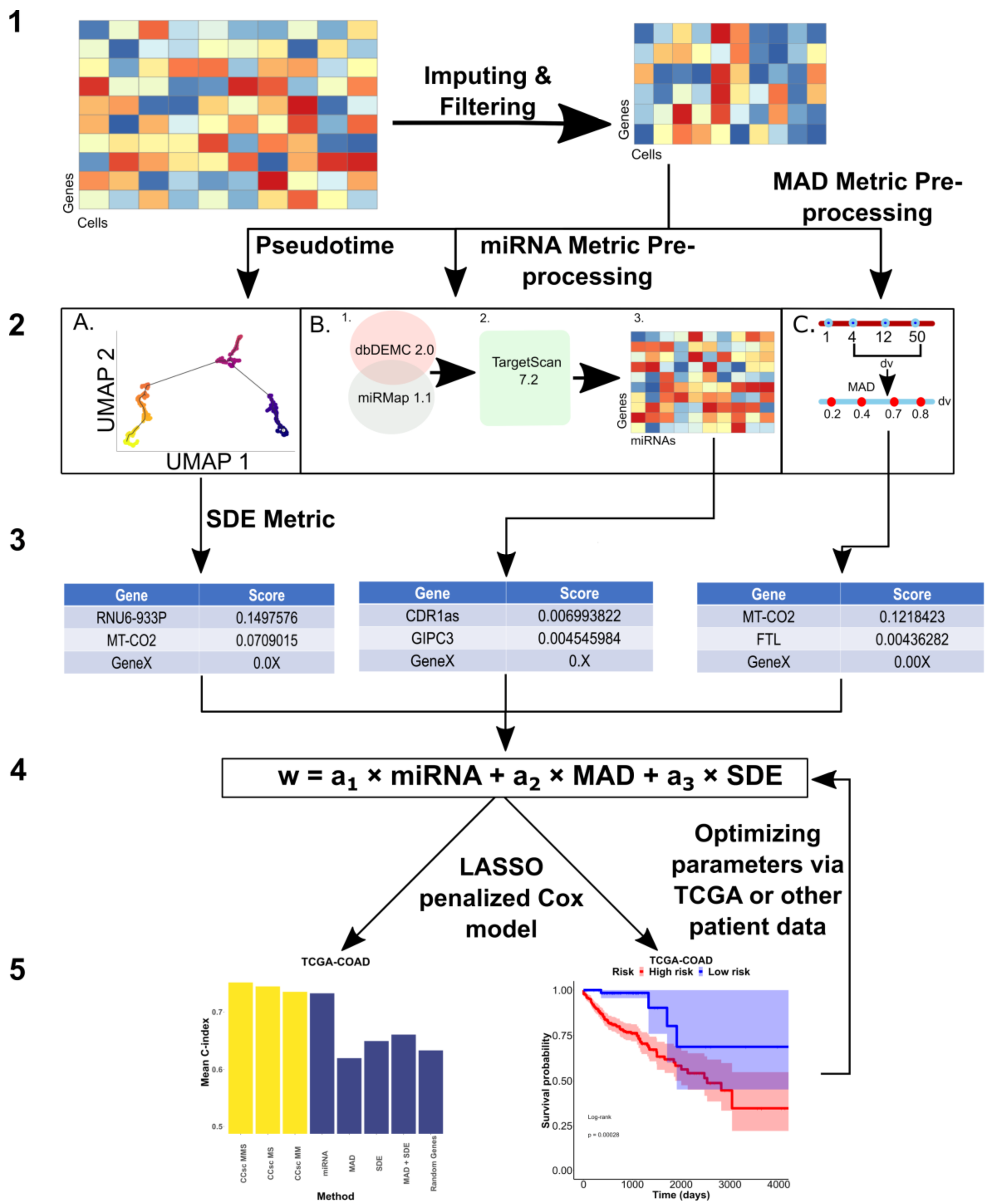 Using Single-Cell RNA Sequencing and MicroRNA Targeting Data to Improve Colorectal Cancer ...