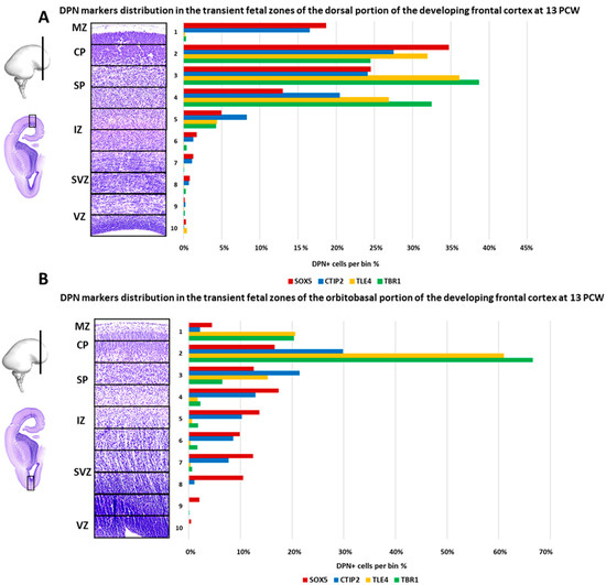 Early Regional Patterning in the Human Prefrontal Cortex Revealed by ...