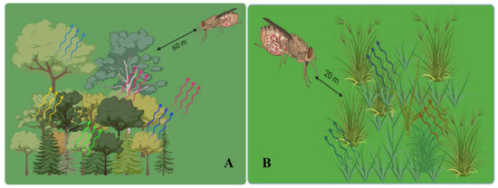 Tritrophic Interactions among Arthropod Natural Enemies, Herbivores and ...