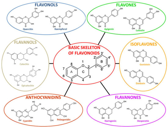 Zebrafish: A Model Deciphering the Impact of Flavonoids on ...