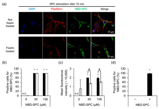 Sphingosylphosphorylcholine (SPC), a Causative Factor of SPC-Induced ...