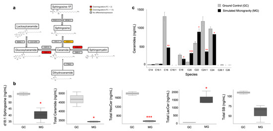 Transcriptomic Signature of the Simulated Microgravity Response in ...