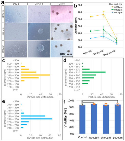 Cells | Free Full-Text | Fabrication Scaffold with High Dimensional ...