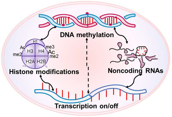 Cross Talks between Oxidative Stress, Inflammation and Epigenetics in ...
