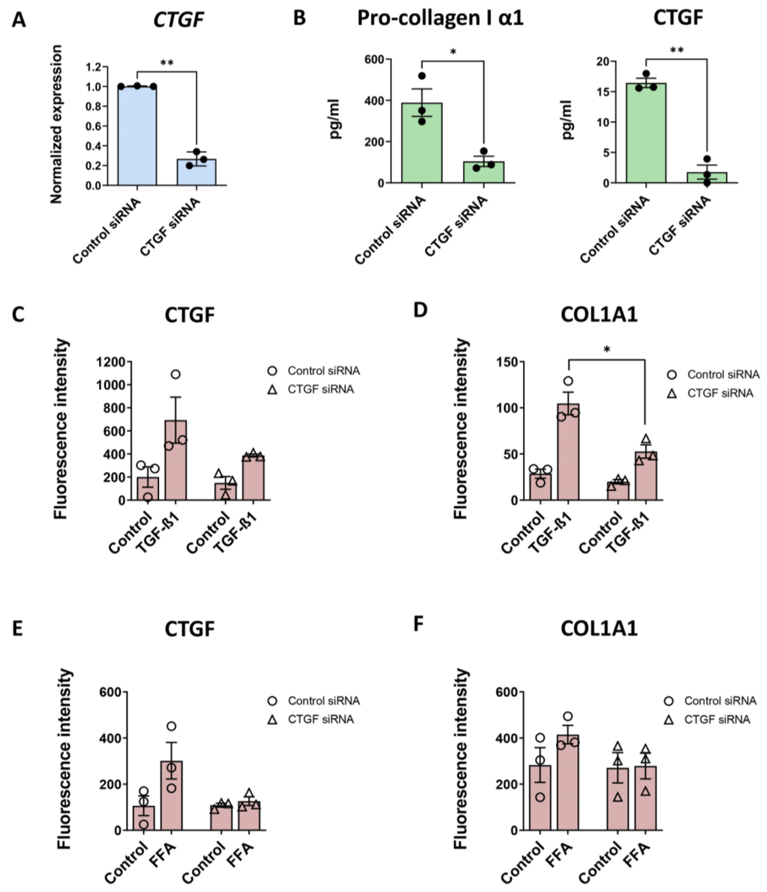 The Role of CTGF in Liver Fibrosis Induced in 3D Human Liver Spheroids