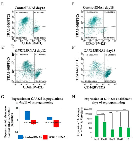 Essential Role of Adhesion GPCR, GPR123, for Human Pluripotent Stem ...