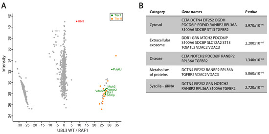 PDE6D Mediates Trafficking of Prenylated Proteins NIM1K and UBL3 to ...