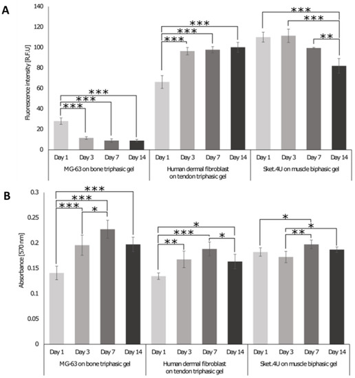 Triphasic 3D In Vitro Model of Bone-Tendon-Muscle Interfaces to Study ...