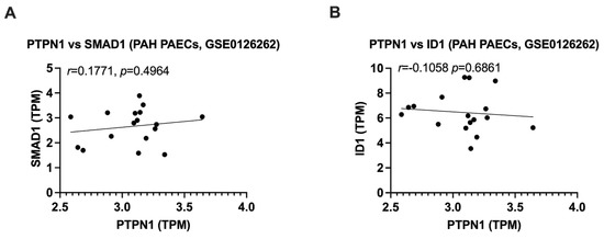 PTPN1 Deficiency Modulates BMPR2 Signaling and Induces Endothelial ...