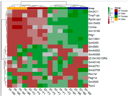 Cells Free Full Text Sex Specific Whole Transcriptome Analysis In