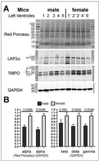 Cells | Free Full-Text | Abnormal Cellular Phenotypes Induced by Three ...