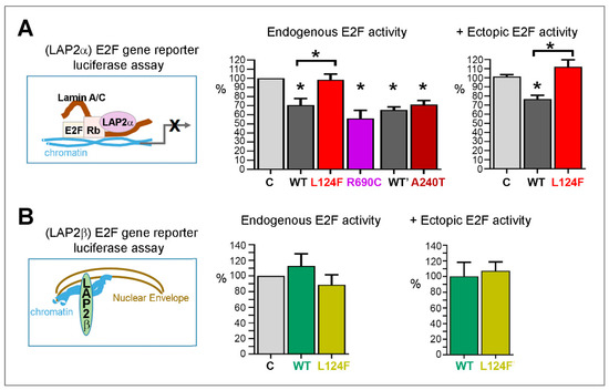 Cells | Free Full-Text | Abnormal Cellular Phenotypes Induced by Three ...