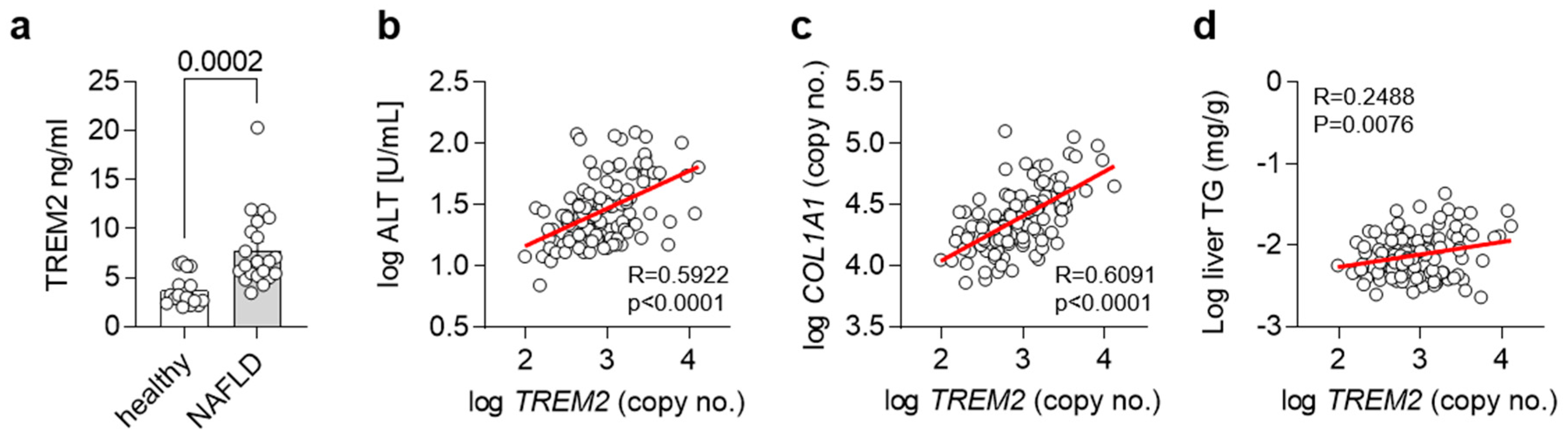 TREM2 Regulates the Removal of Apoptotic Cells and Inflammatory ...