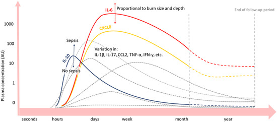 The Complexity of the Post-Burn Immune Response: An Overview of the ...