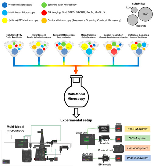 Correlative Multi-Modal Microscopy: A Novel Pipeline for Optimizing ...