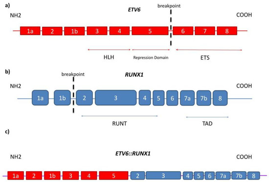 The Landscape of Secondary Genetic Rearrangements in Pediatric Patients with B-Cell Acute ...