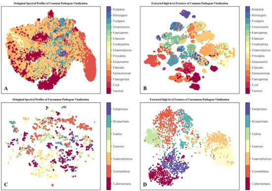 Rapid Identification of Infectious Pathogens at the Single-Cell Level ...