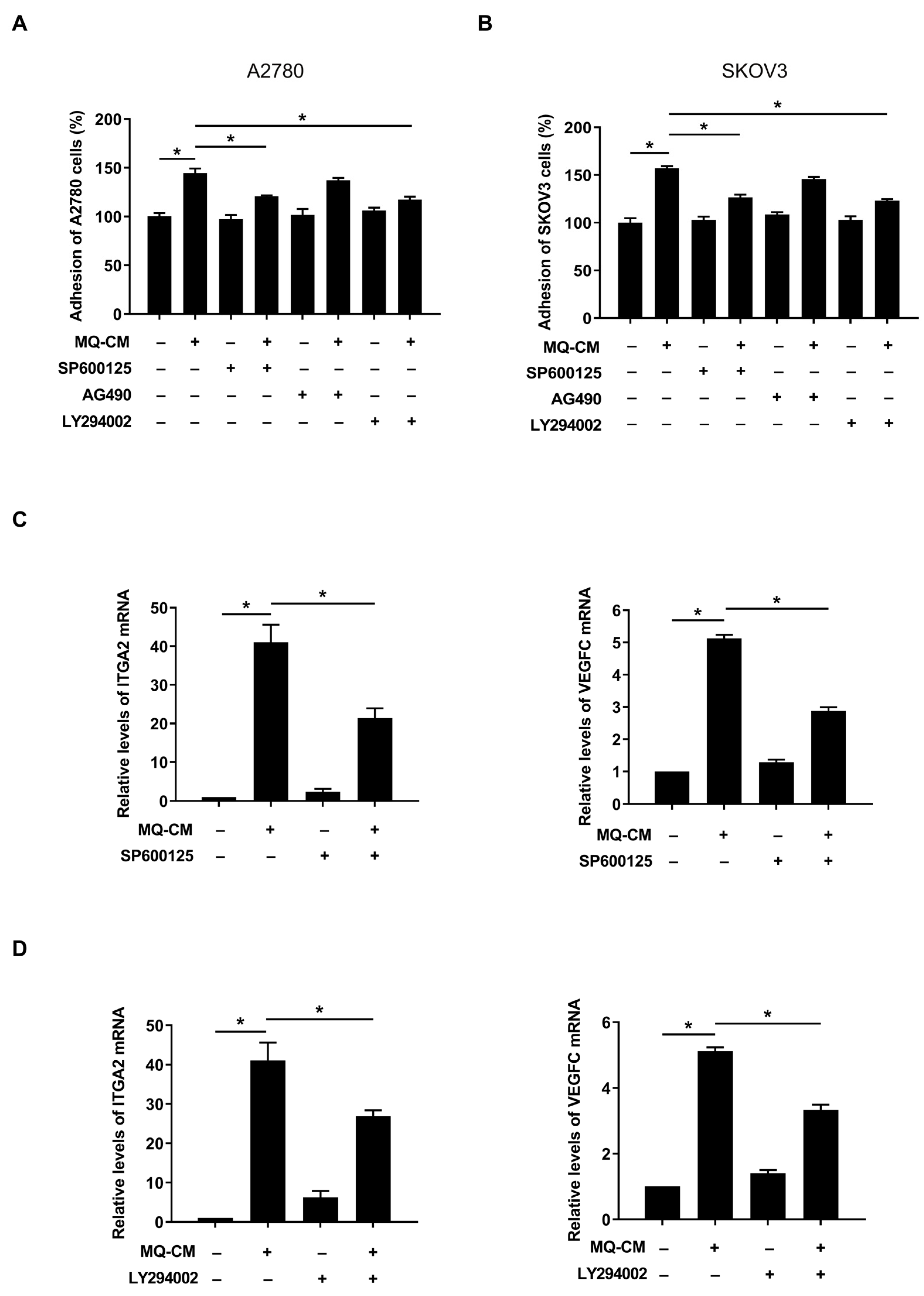 Macrophages Promote Ovarian Cancer-Mesothelial Cell Adhesion by ...