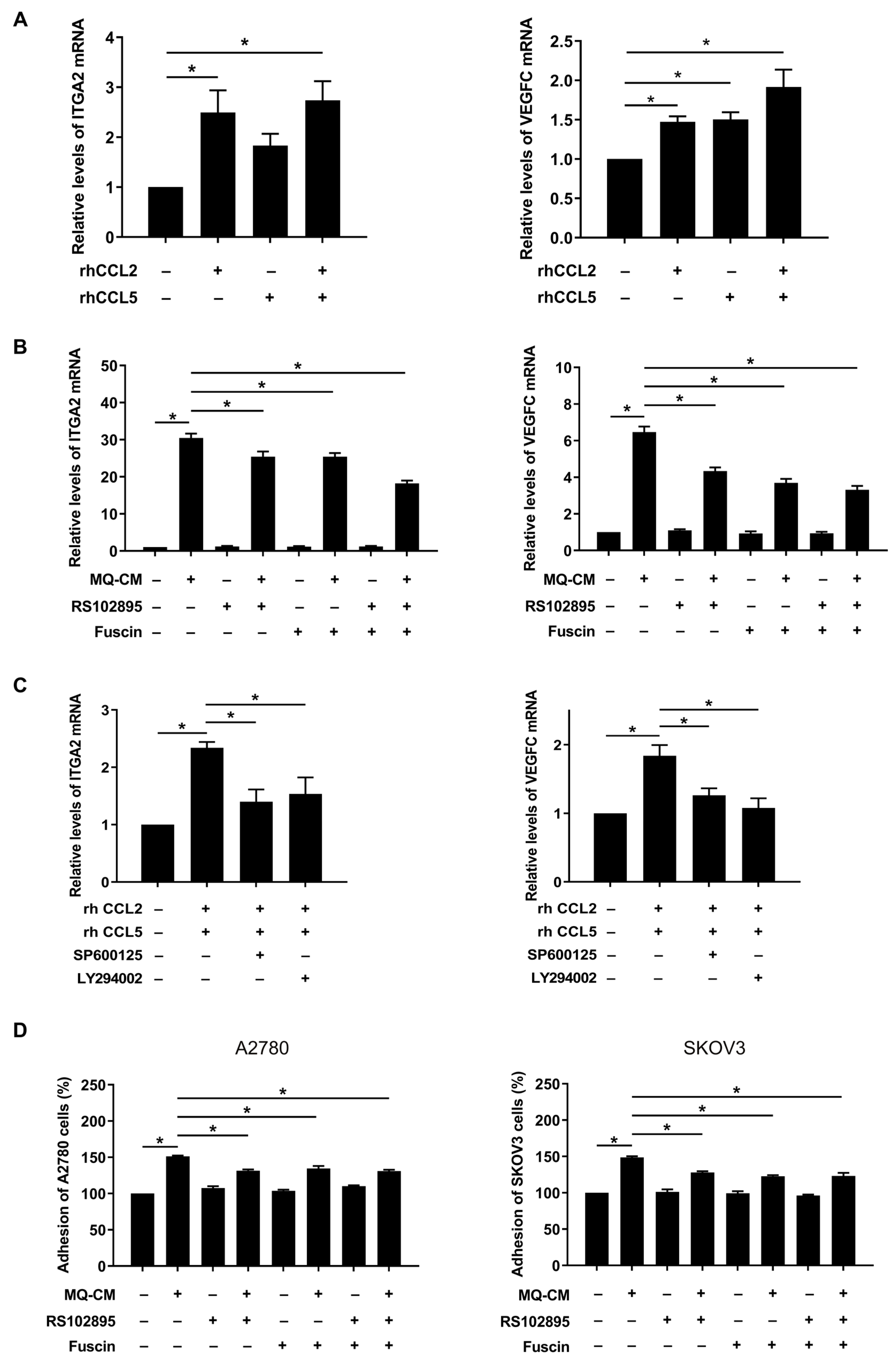 Macrophages Promote Ovarian Cancer-Mesothelial Cell Adhesion by ...
