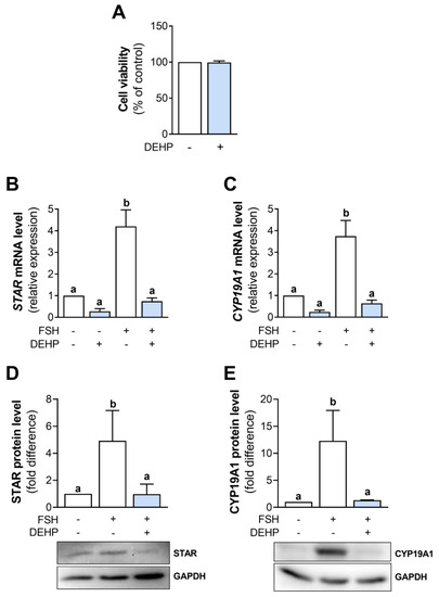 DEHP Decreases Steroidogenesis through the cAMP and ERK1/2 Signaling ...